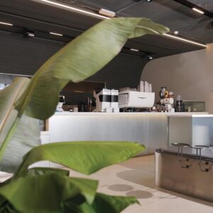 Flow – Qatar
